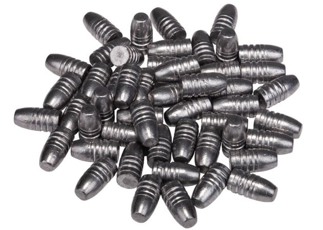 Slugs Benjamin FP 350 grain (.457)