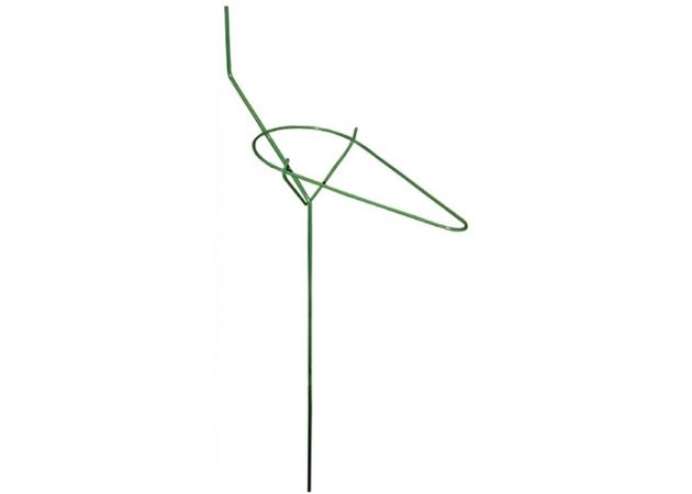 Cradle for Crow/Pigeon