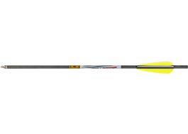 Airbow Arrow FX Gold Tip 20"