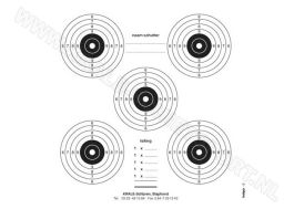 Air rifle target with 5 bullseyes B (numbered)